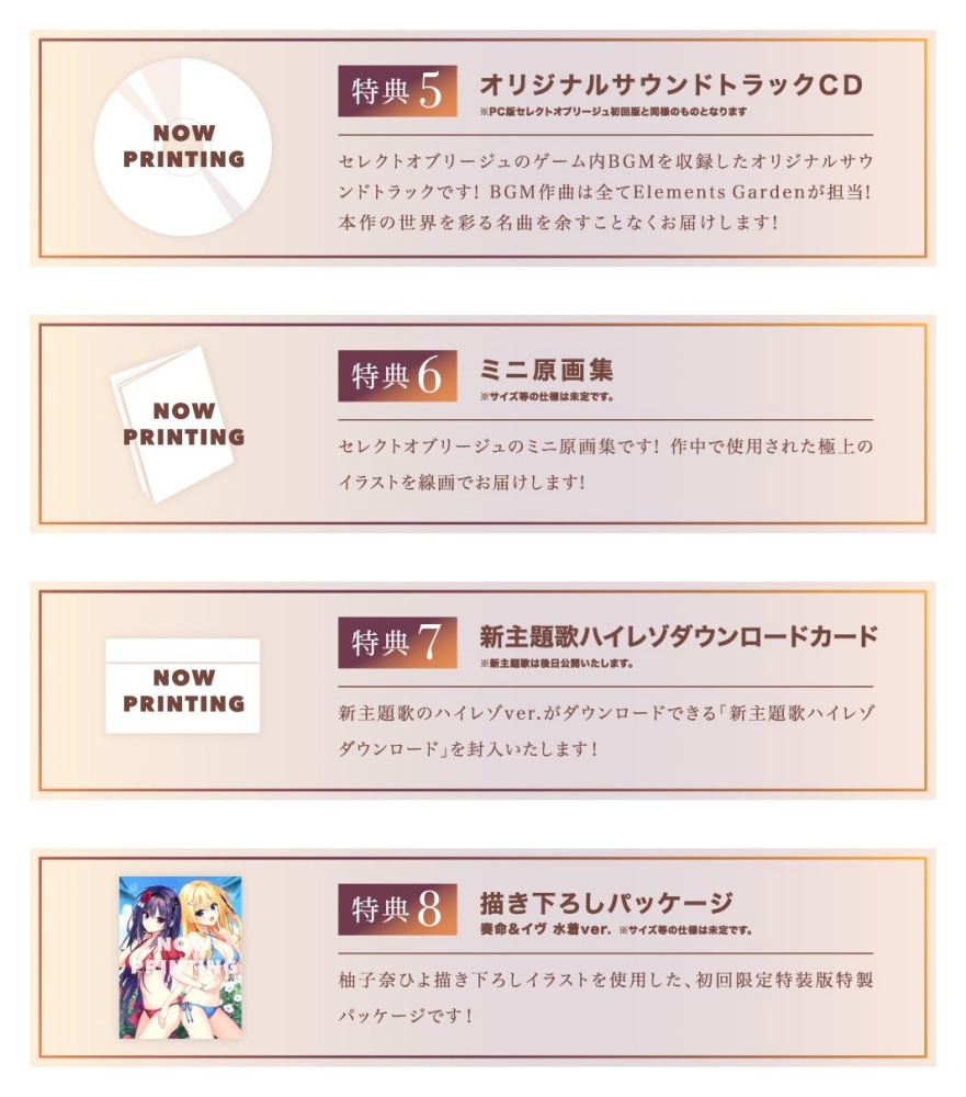 BEEP ゲームグッズ通販 / 【予約商品】[Switch /限定版]セレクトオブリージュ 初回限定特装版